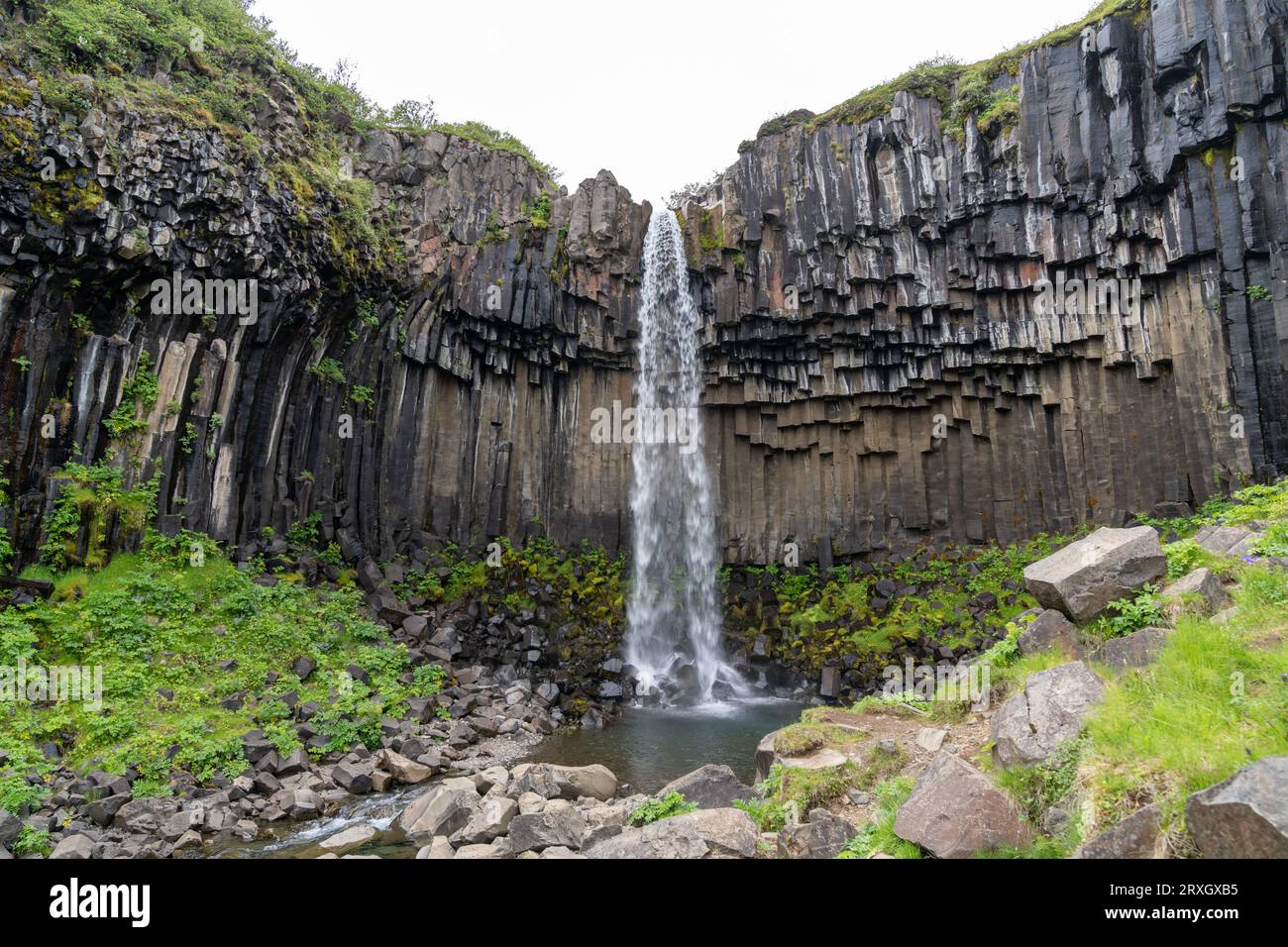 Svartifoss Waterfall in Skaftafell National Park with its famous black basalt columns, Iceland ...