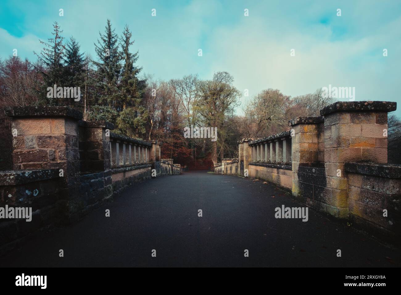 Almondell country park winter hi-res stock photography and images - Alamy