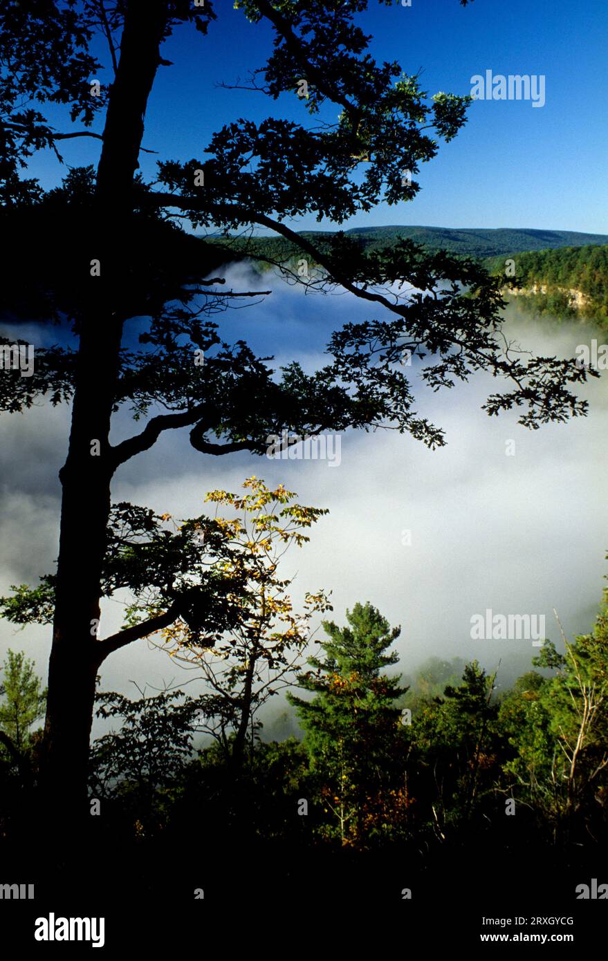 Tioga pennsylvania hi-res stock photography and images - Alamy