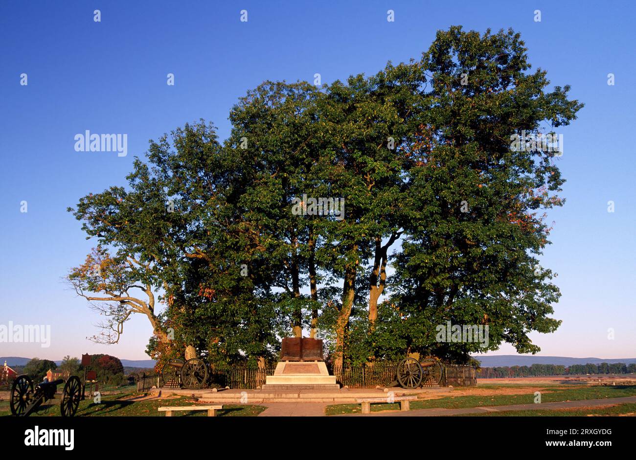 Copse of Trees, Gettysburg National Military Park, Pennsylvania Stock ...