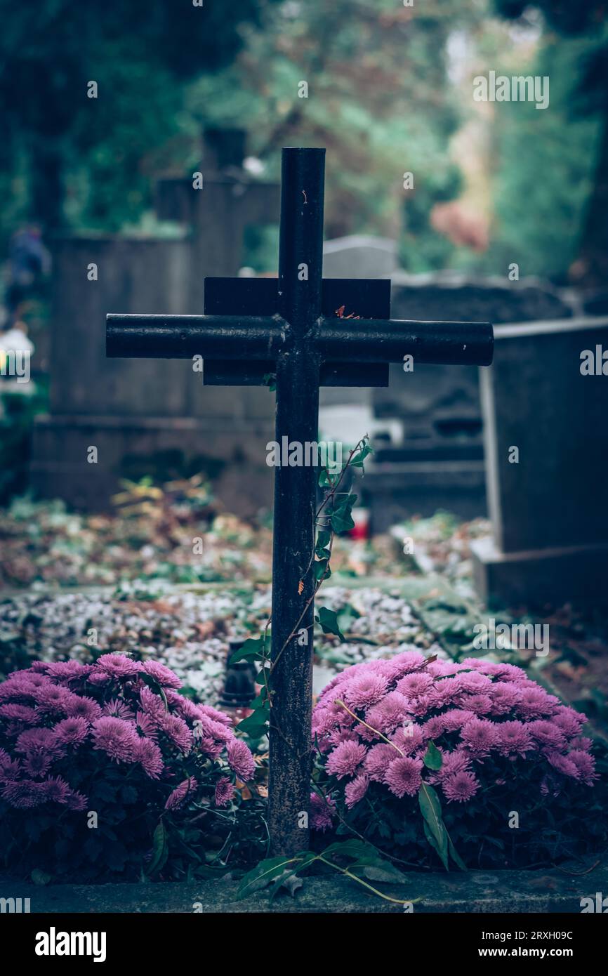 decorative chrysanthemum flowers on the tomb in the cemetery Stock ...