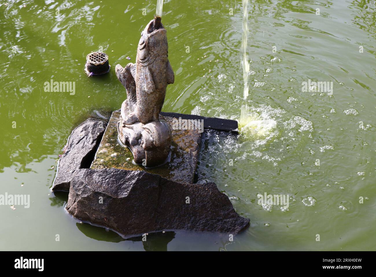 Pond koi waterfall hi-res stock photography and images - Alamy