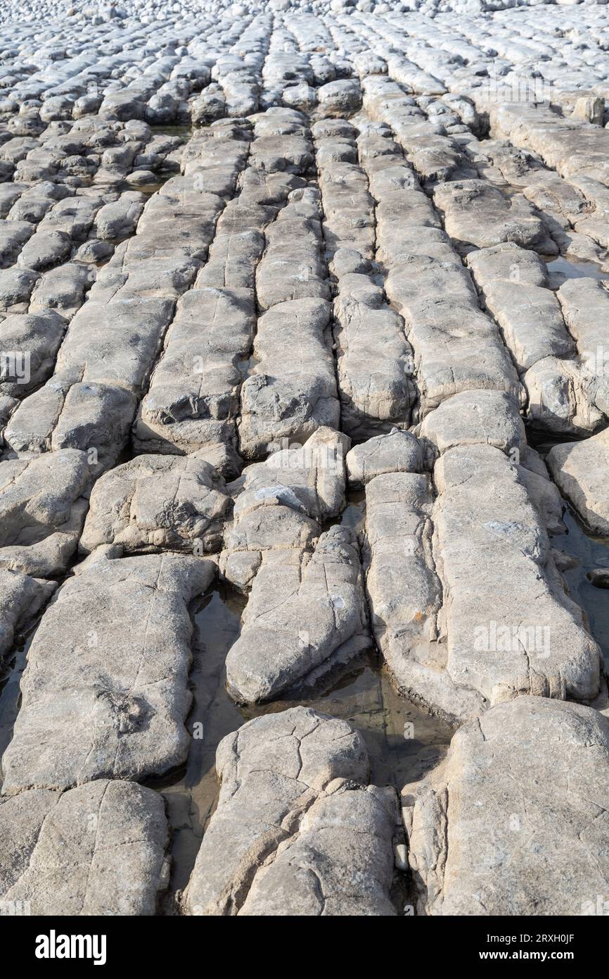 Pavement rocks on the beach at Llantwit Major, Glamorgan, Wales Stock ...