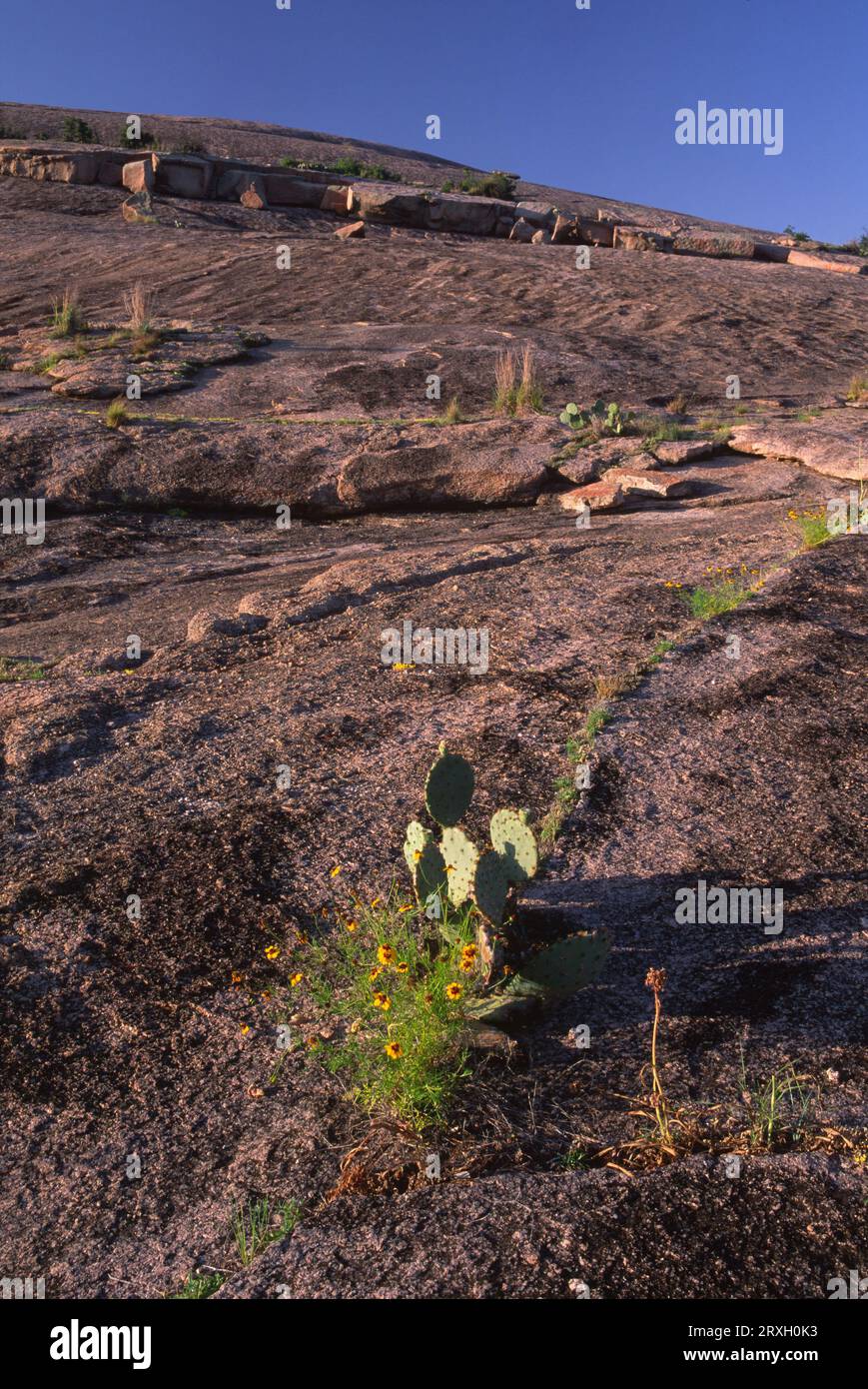 Enchanted Rock, Enchanted Rock State Park, Texas Stock Photo - Alamy
