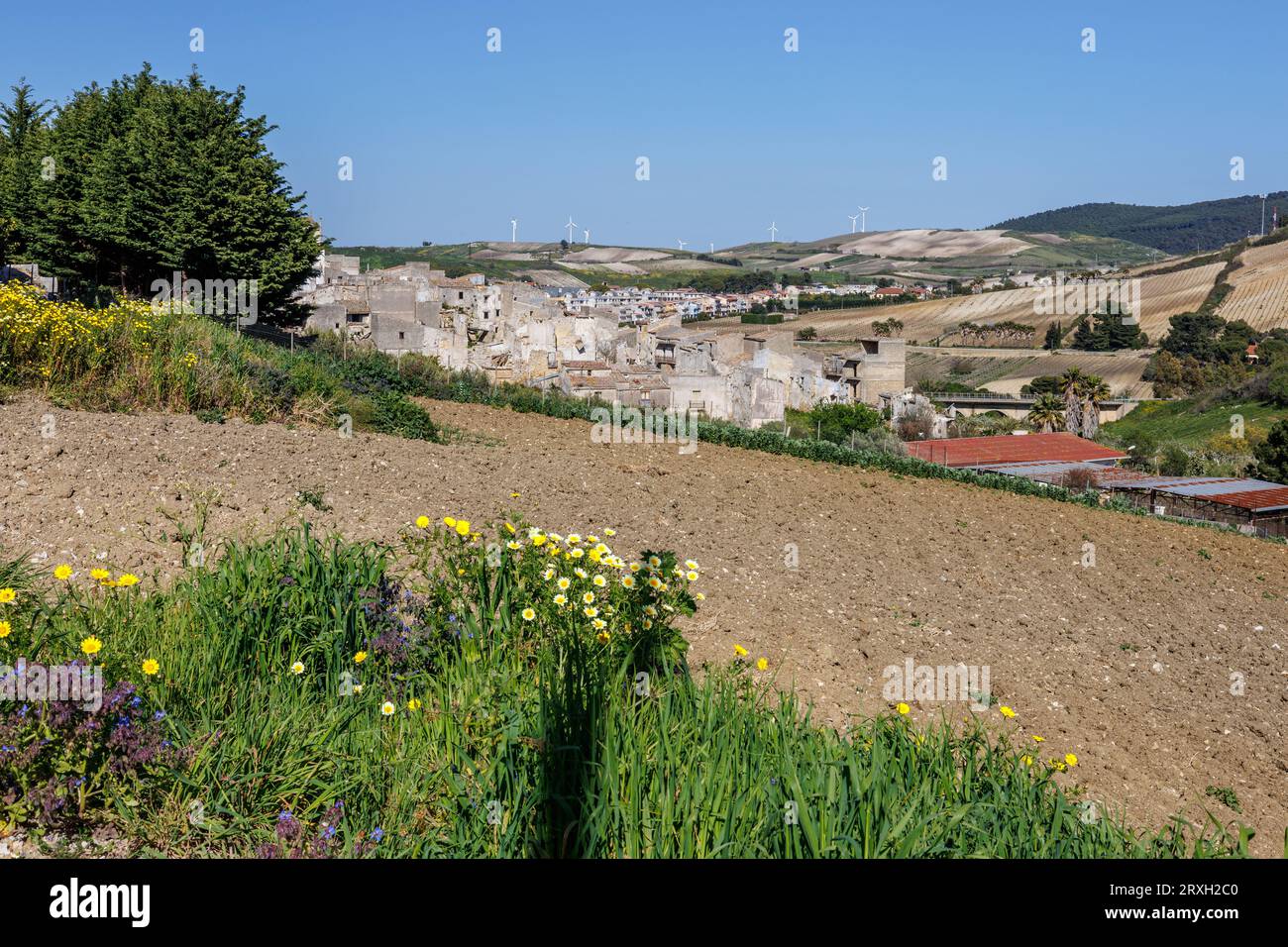 Landscape with vineyards in the province of Marsala on the island of ...