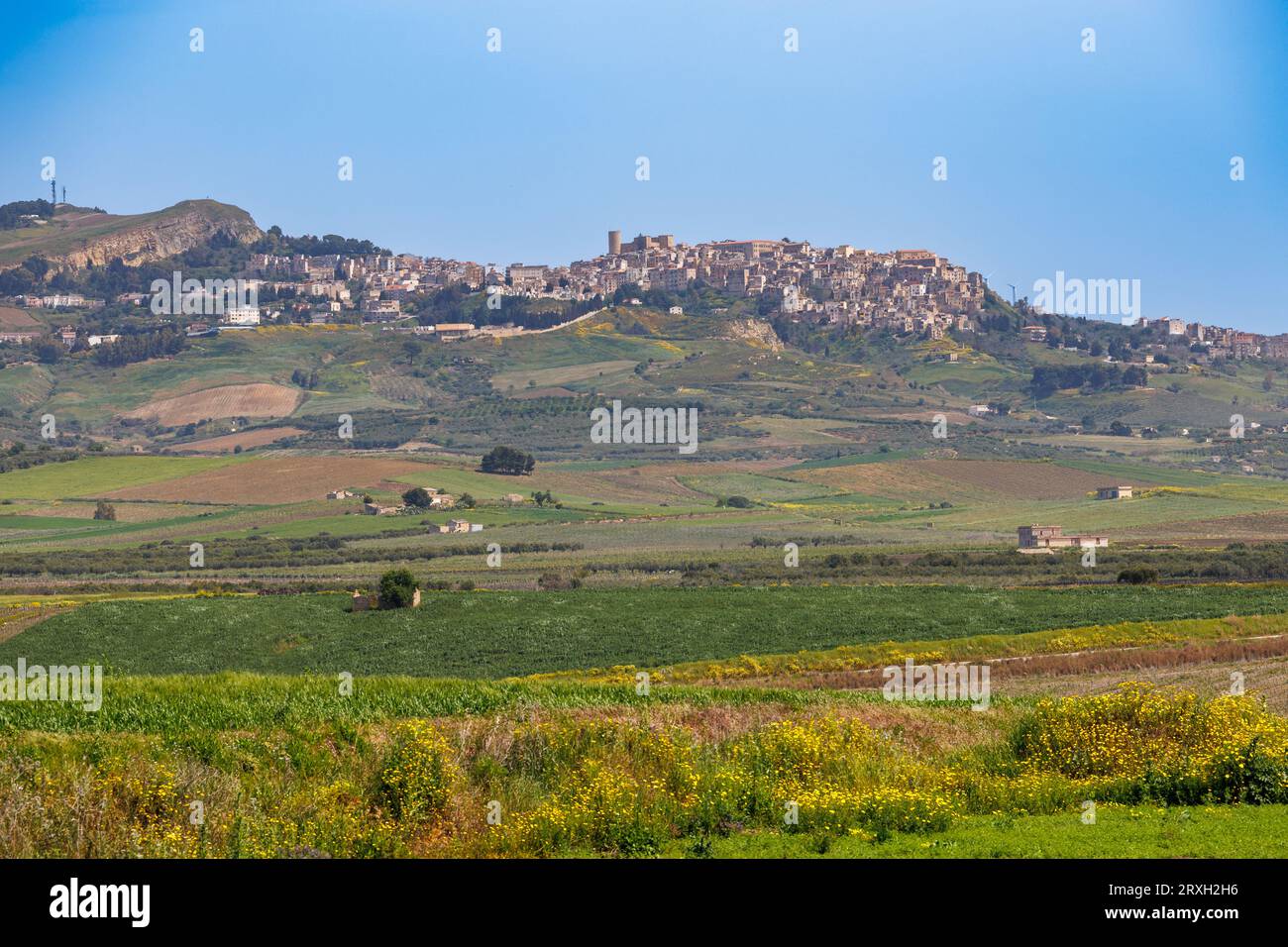 Spring landscape under the historic town of Salemi on the island of ...