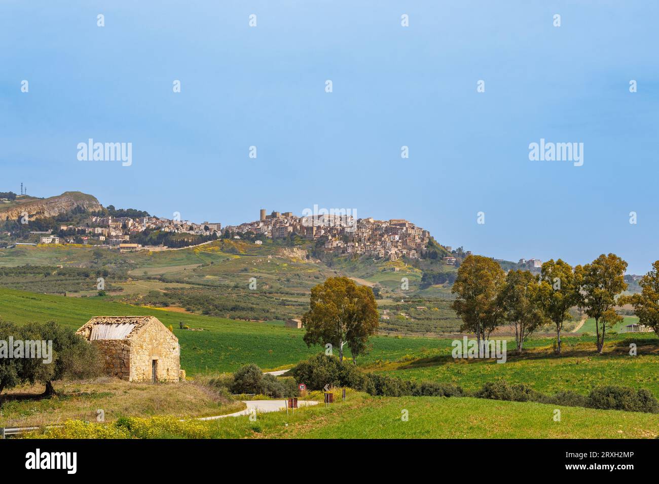 Spring landscape under the historic town of Salemi on the island of ...