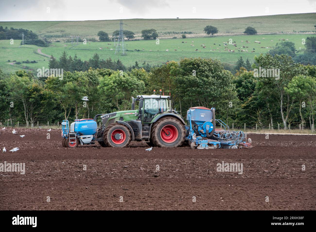 Tractor crop planting and fertilising near Laurancekirk Aberdeenshire ...