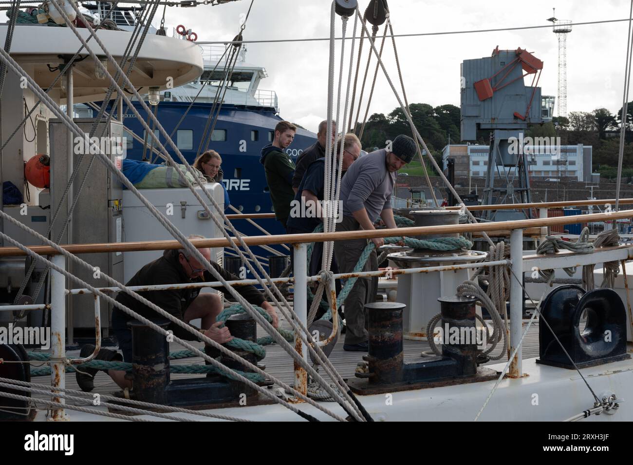 Sv tenacious hi-res stock photography and images - Alamy