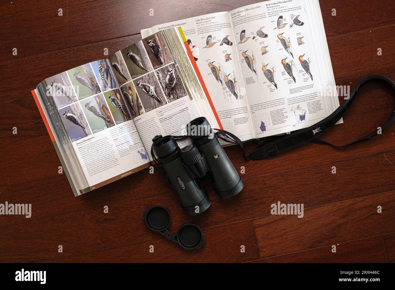 Flat lay with open bird identification books and pair of binoculars ...