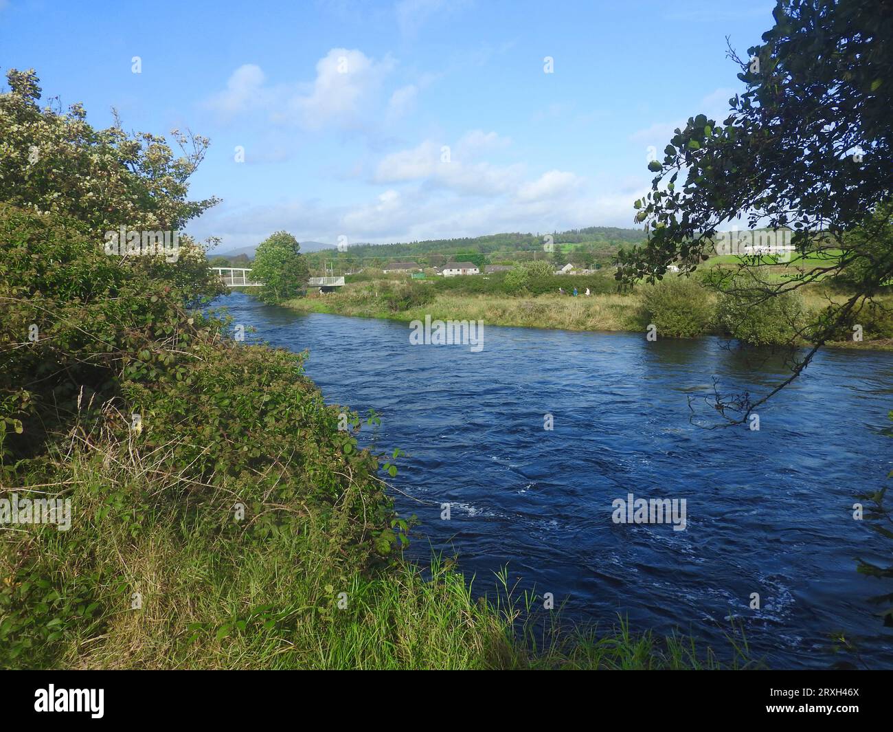 Looking towards the Sparling footbridge over the River Cree at Newton ...