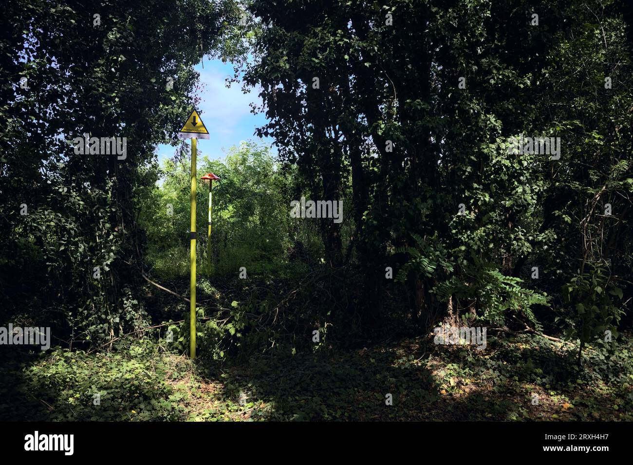 Caution sign between two trees in a grove in the italian countryside ...