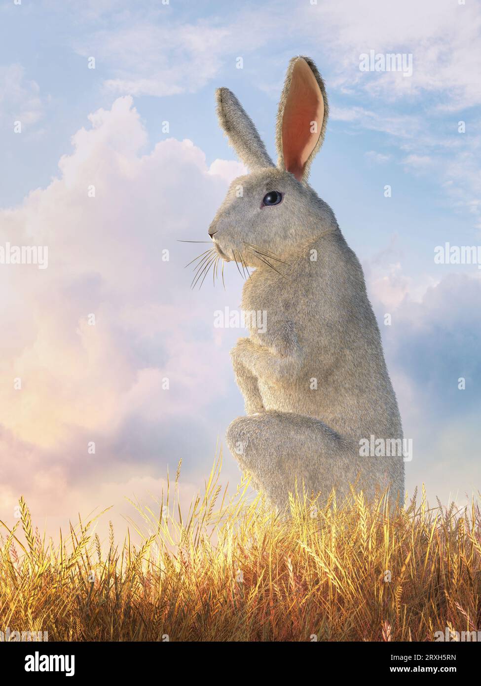 Hind quarters hi-res stock photography and images - Alamy