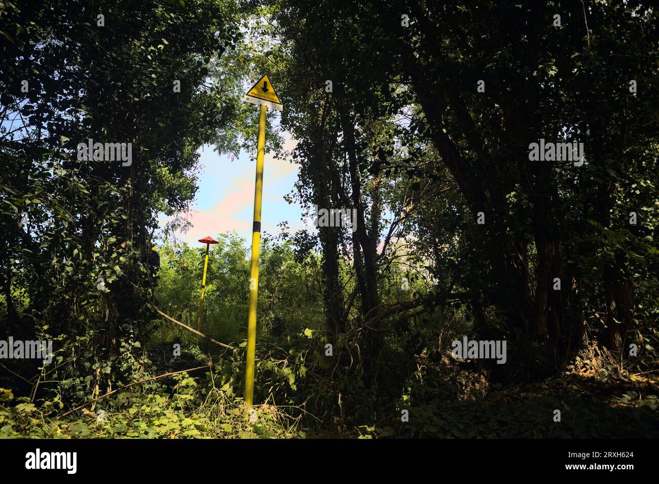 Caution sign between two trees in a grove in the italian countryside ...