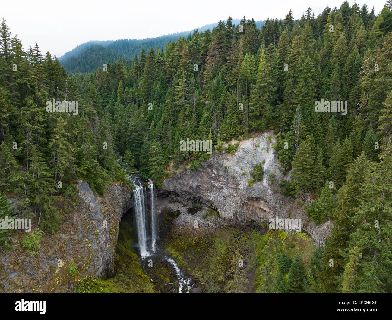 Aerial view trees on slope hi-res stock photography and images - Alamy