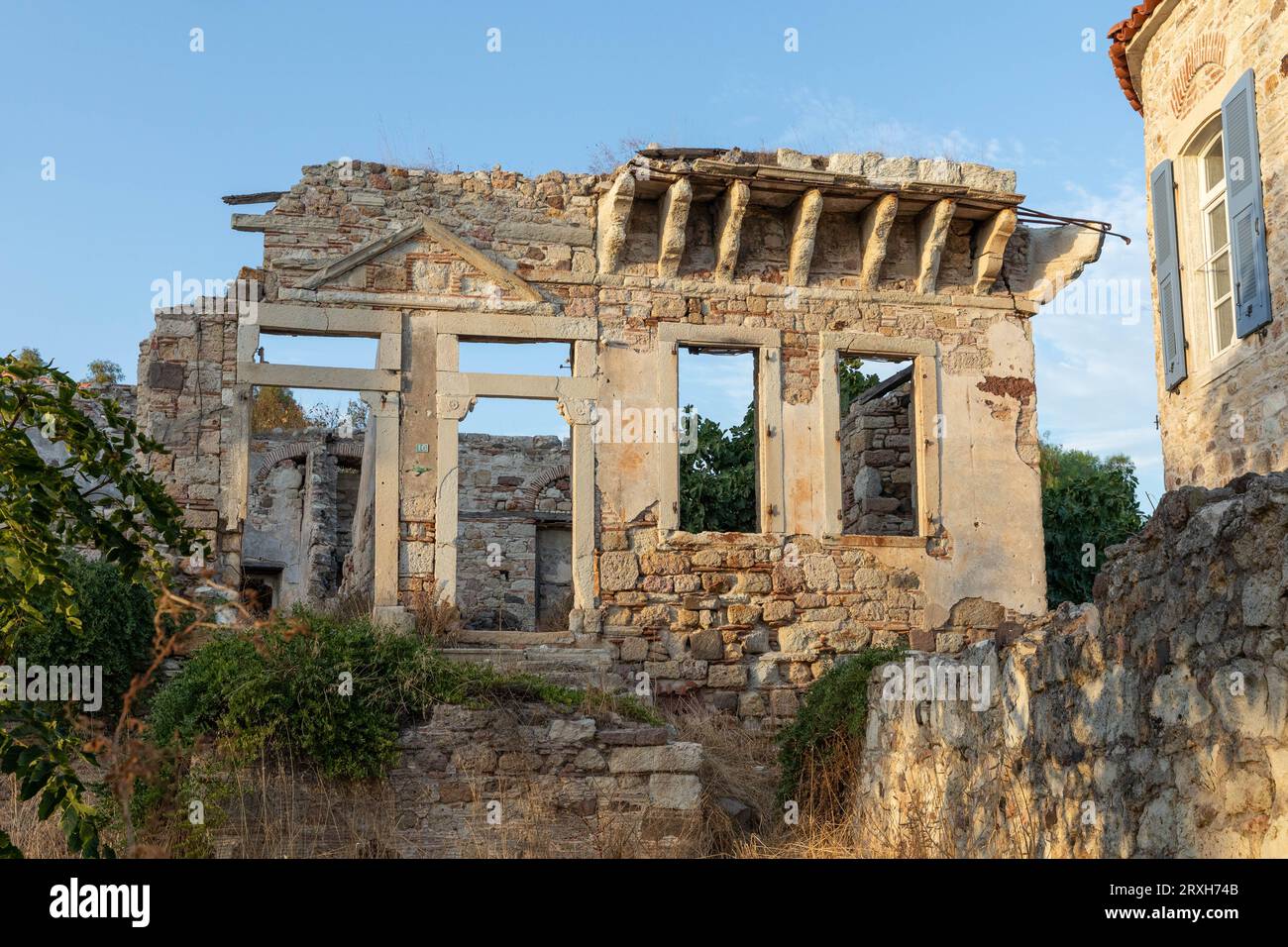 Eski foca hi-res stock photography and images - Alamy