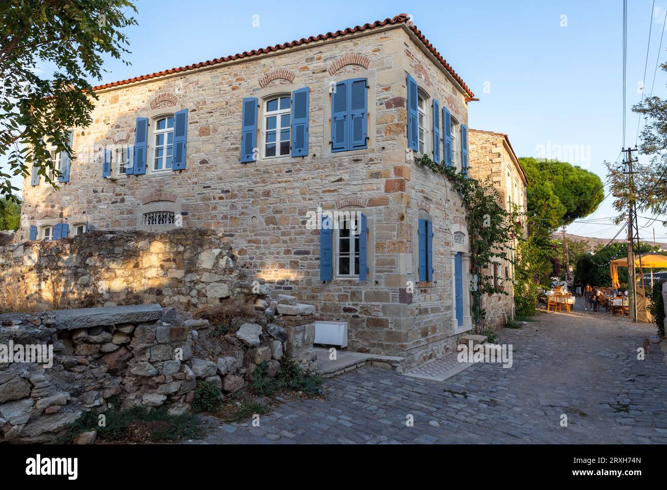 Eski foca hi-res stock photography and images - Alamy