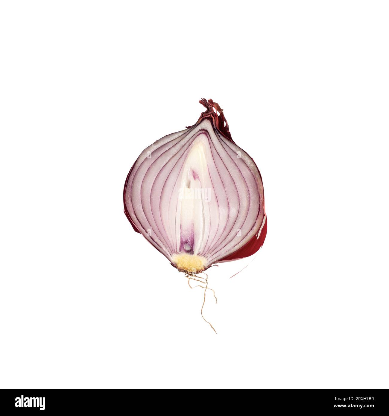 Cutting green onion hi-res stock photography and images - Alamy