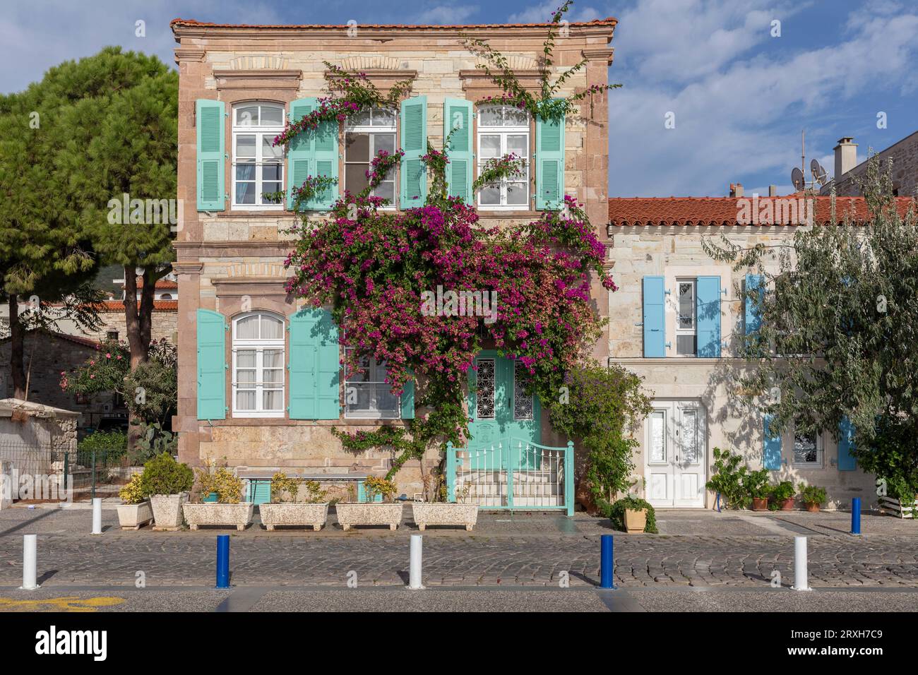 Eski foca hi-res stock photography and images - Alamy