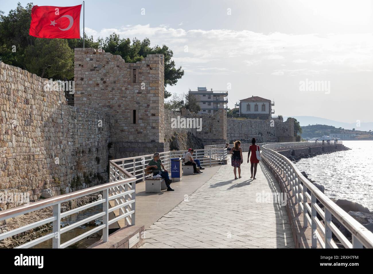 Eski foca hi-res stock photography and images - Alamy