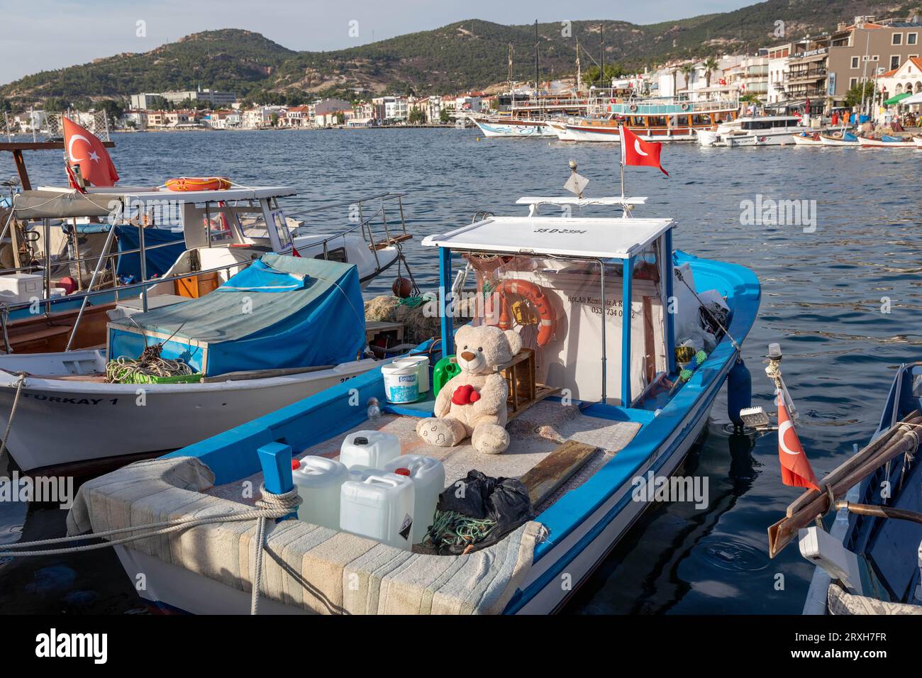 Eski foca hi-res stock photography and images - Alamy