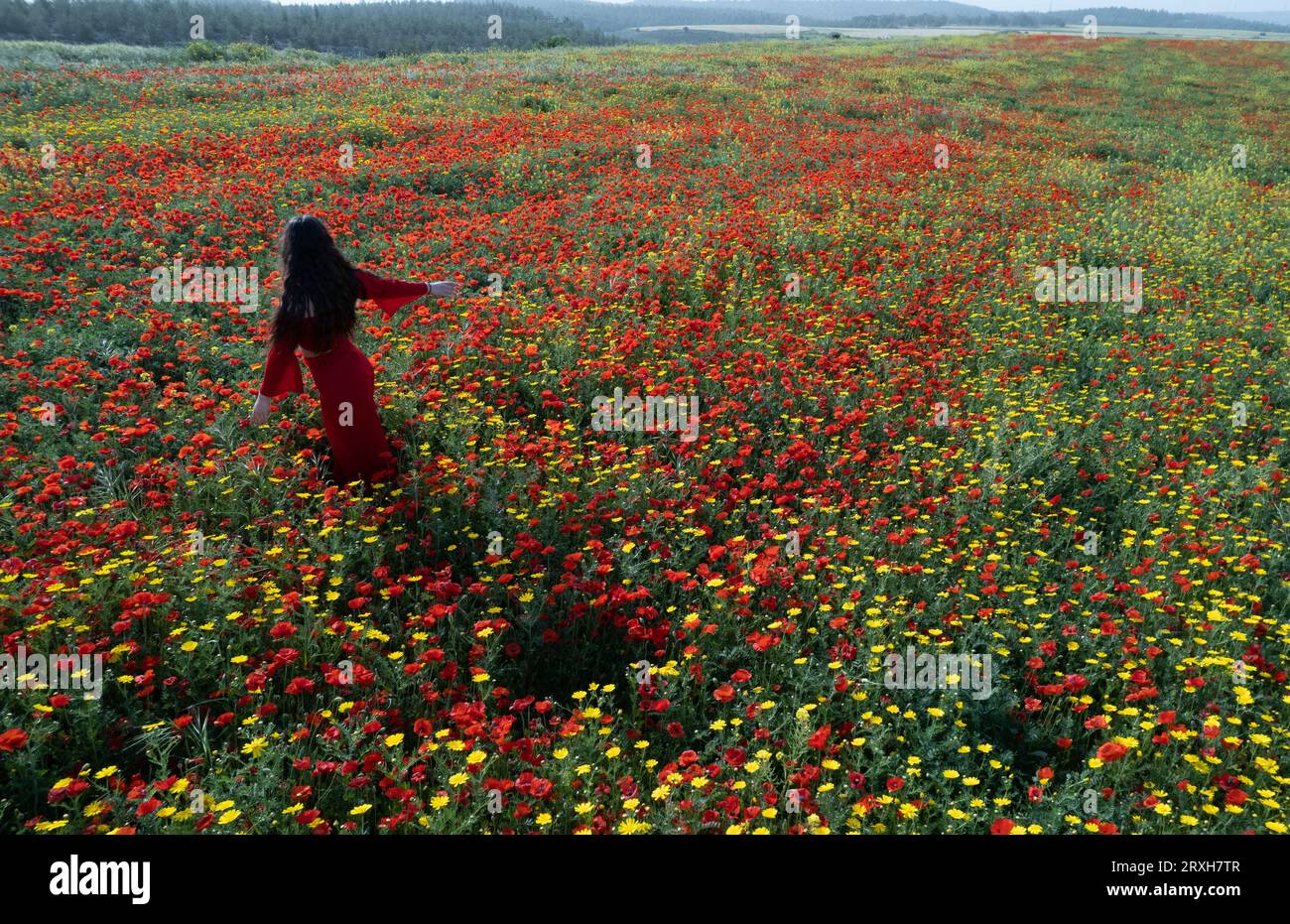 Point view woman walking poppy hi-res stock photography and images - Alamy