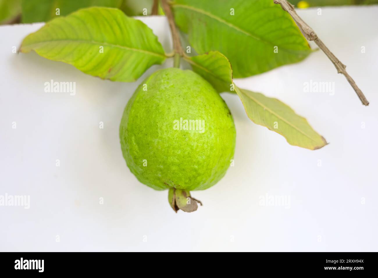 Closeup of guava hi-res stock photography and images - Alamy