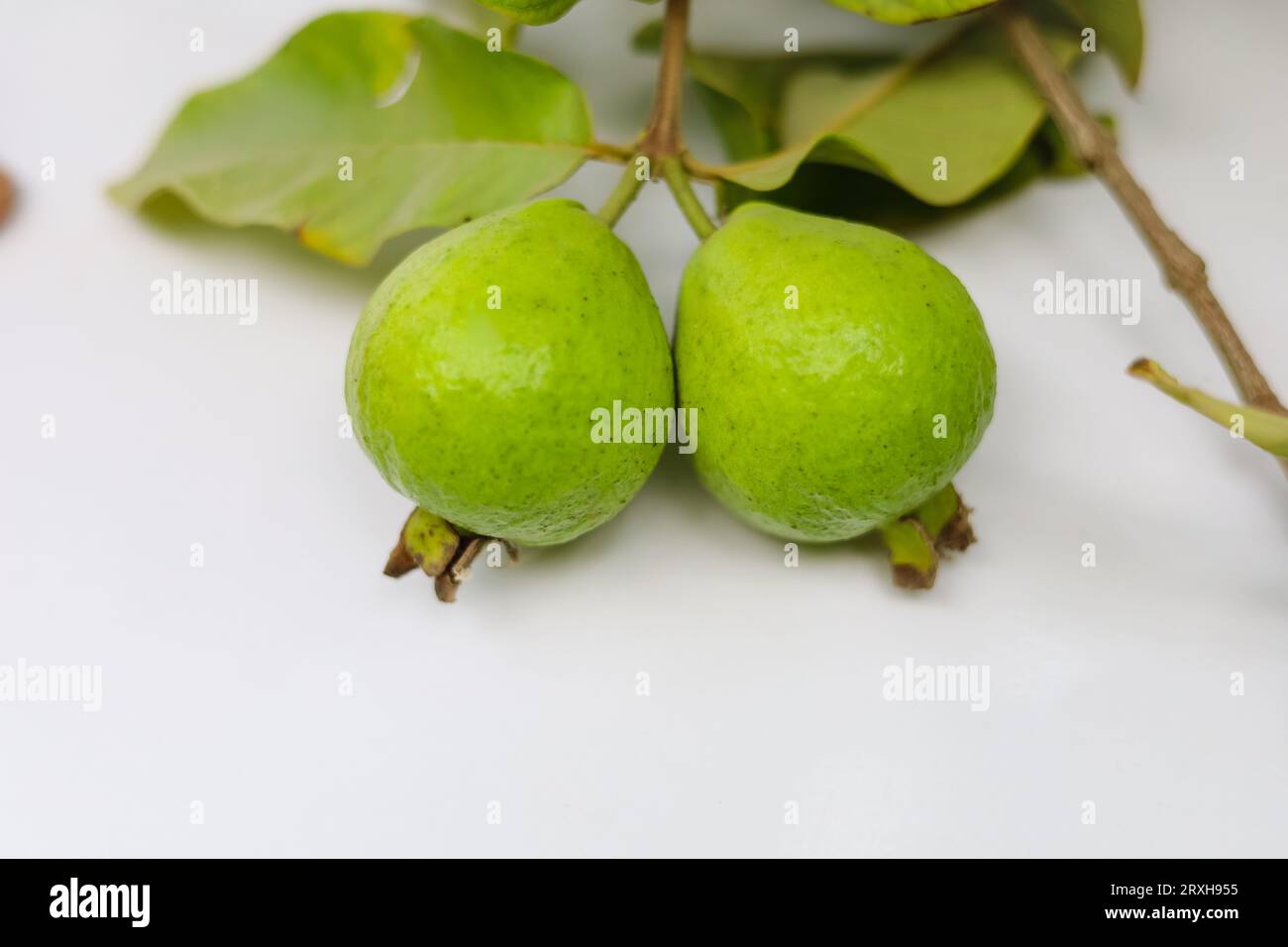 Vegetable tree hi-res stock photography and images - Alamy