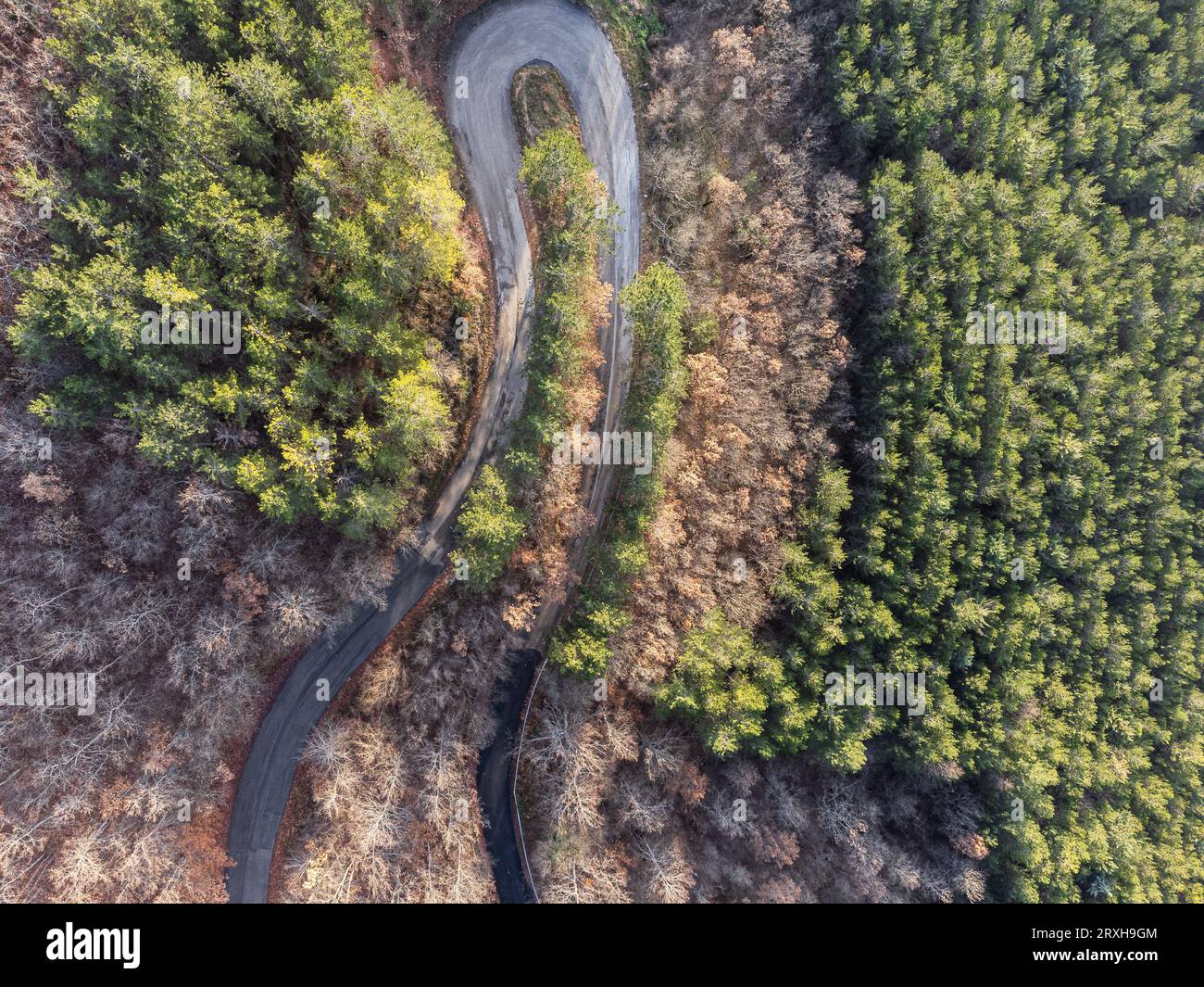 Top-down view of an hairpin bend in the middle of a forest with green ...