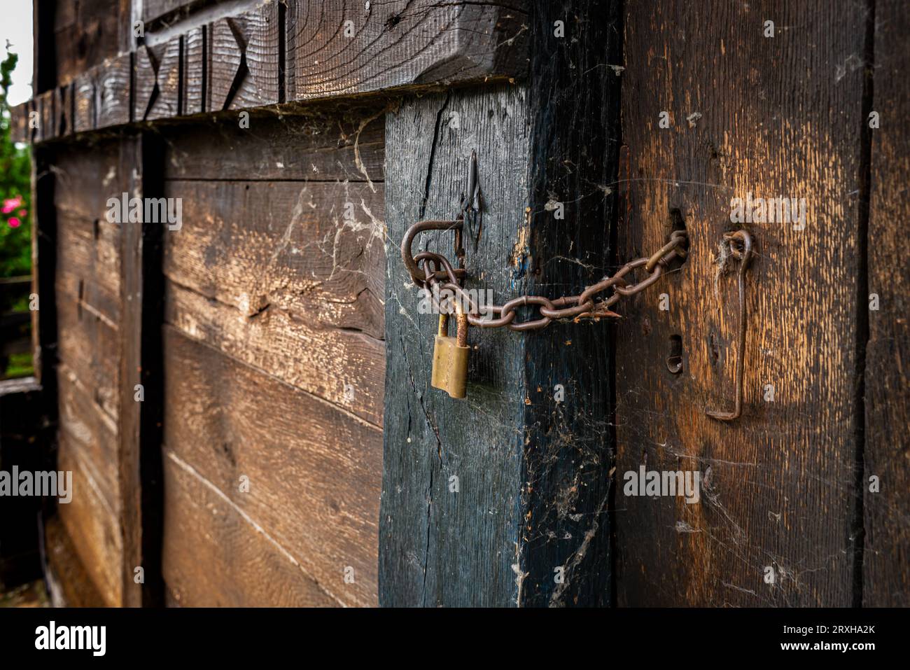 Wooden Front Door into rustic cabin with lock and padlock and chain ...