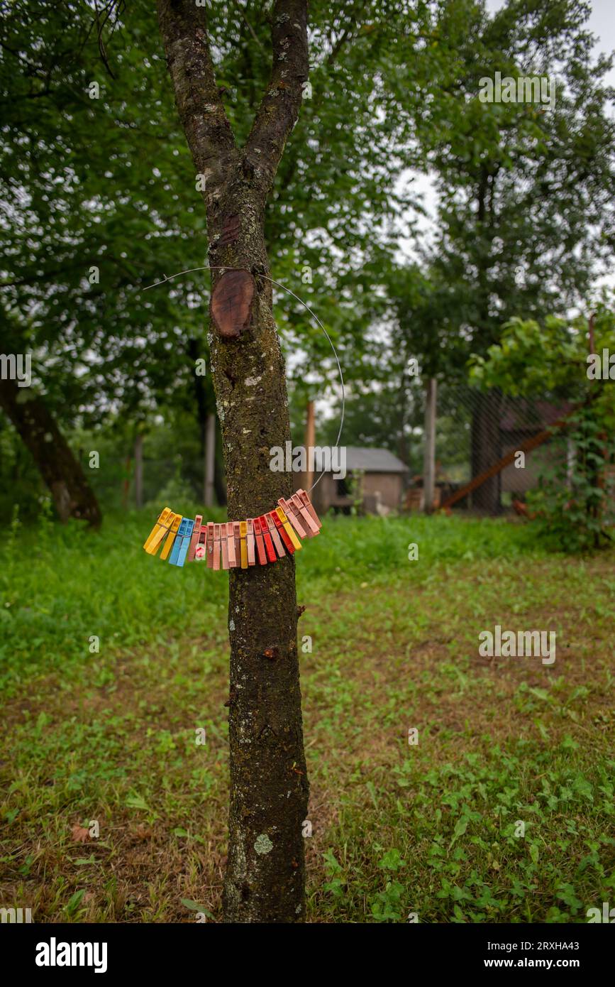 Plastic clothesline clamps hi-res stock photography and images - Alamy