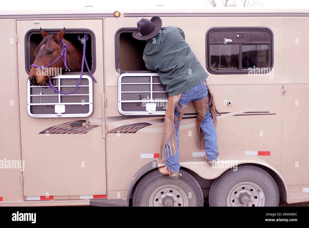 Male rancher makes the final preparations for his trailer; Halsey ...