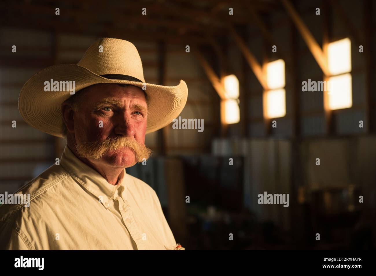 Handsome cowboys hi-res stock photography and images - Alamy
