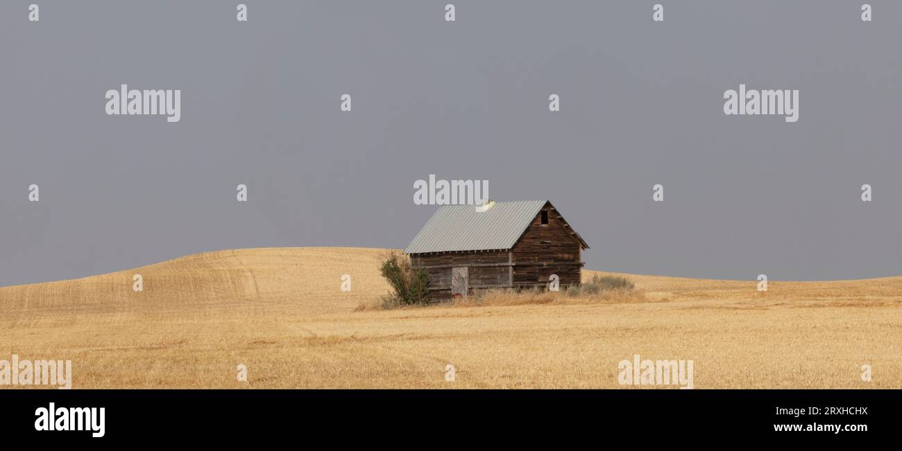 Farmhouse in middle field hi-res stock photography and images - Alamy
