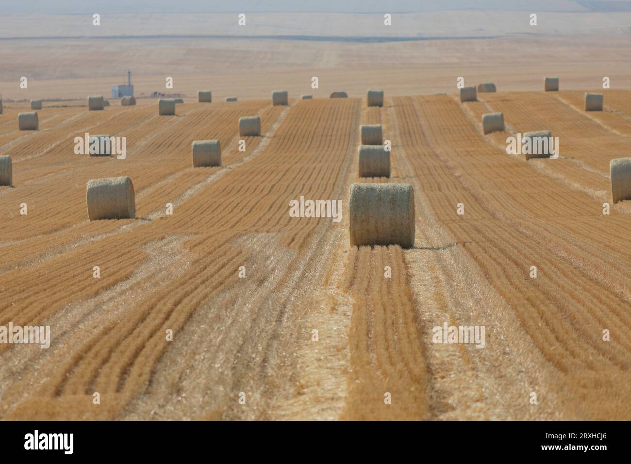 Calgary to three hills hi-res stock photography and images - Alamy