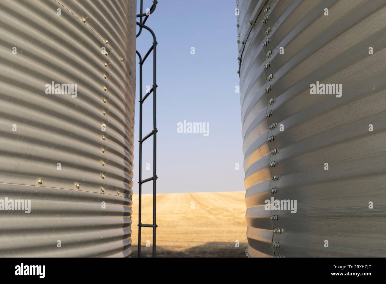 Close-up detail of the metal siding of two grain bins and a ladder with ...