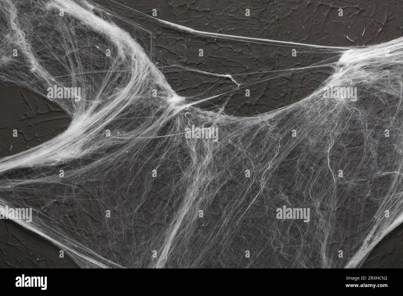 Spider web on black background. Halloween celebration Stock Photo - Alamy