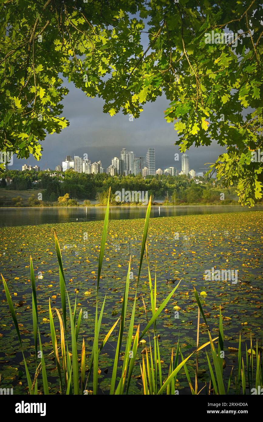Metrotown Town Centre from Deer Lake Park, Burnaby, British Columbia ...