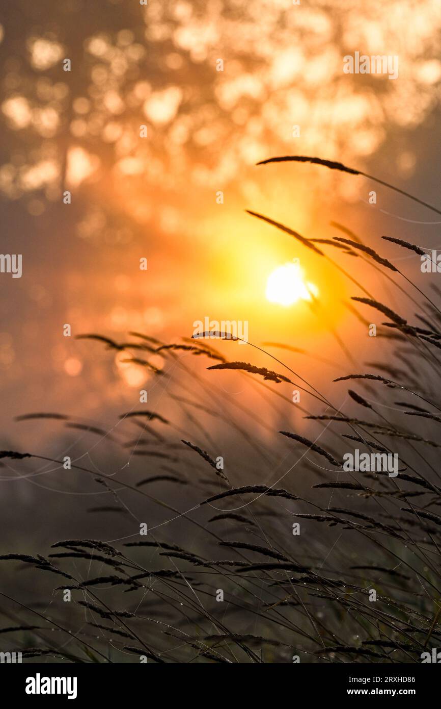 Sunrise dawn morning hi-res stock photography and images - Alamy