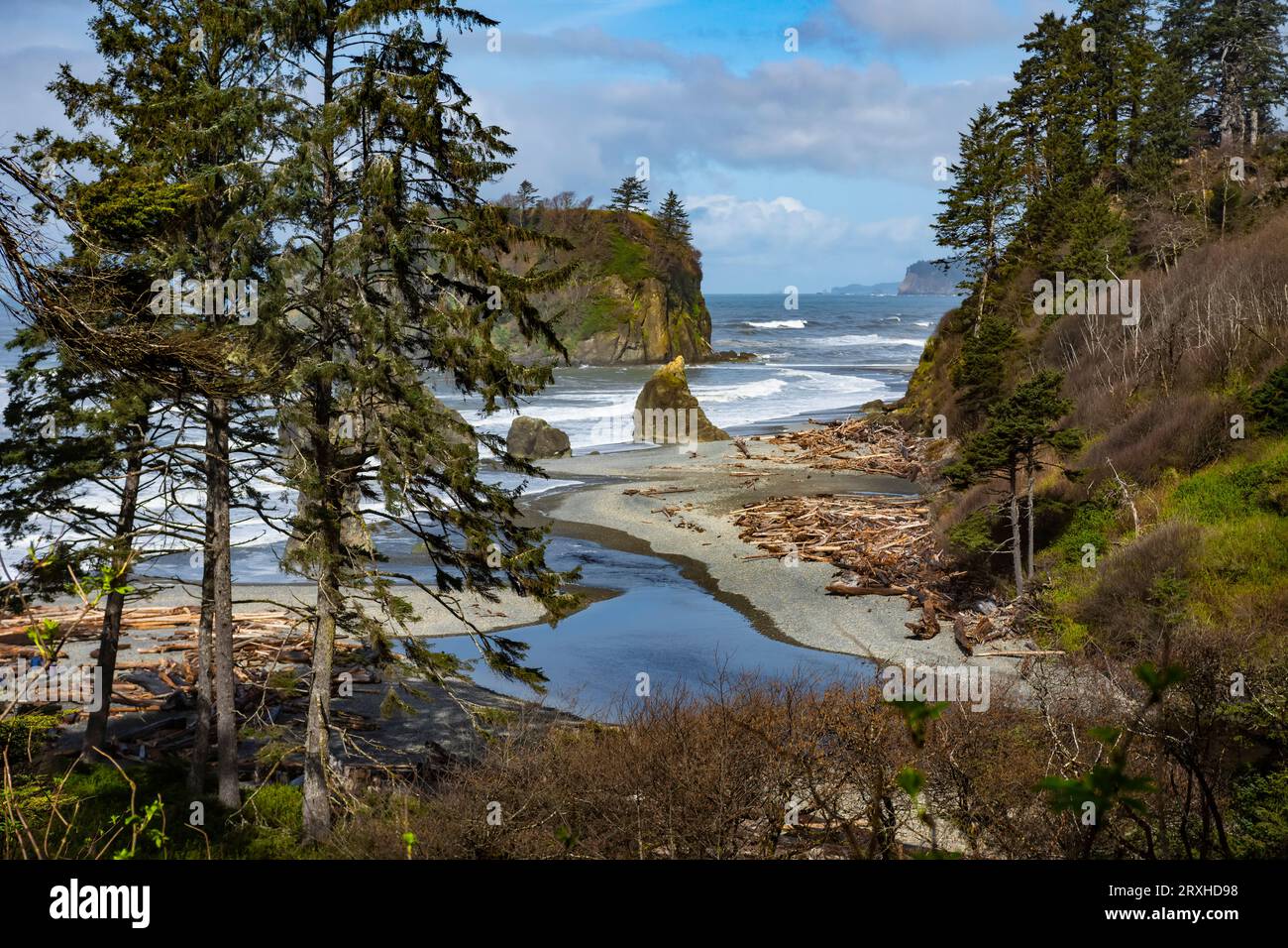Overlook at Ruby Beach, Cedar Creek, and the rocky Pacific Coast in the ...
