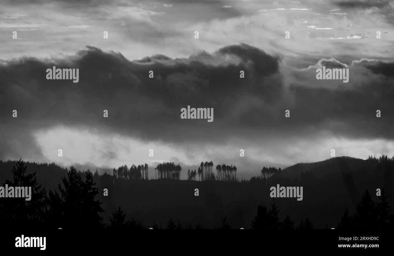 Scale imagery Black and White Stock Photos & Images - Alamy