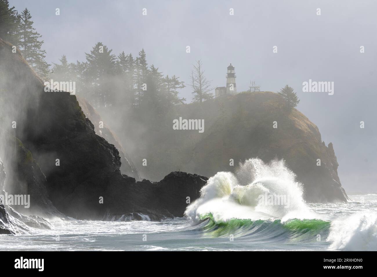 Morning fog enhances the dramatic beauty of the waves crashing into the ...