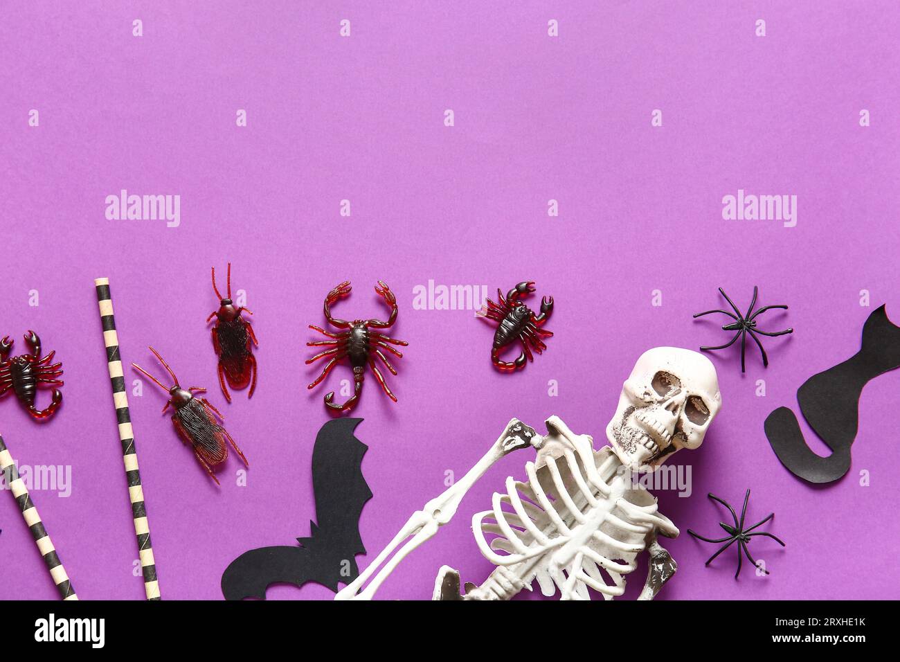 Halloween composition with skeleton, candy bugs and bat on purple ...
