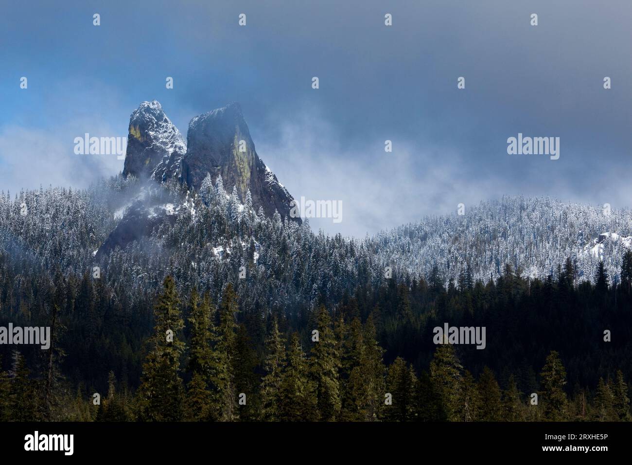 Treeline with snow-dusted treetops and Rabbit Ears peaks in Rogue River ...