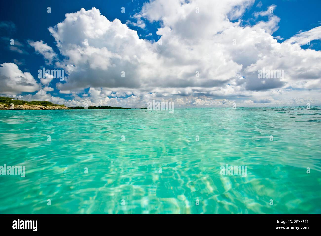 Pristine turquoise water off the coast of Aruba; Aruba, Kingdom of the ...