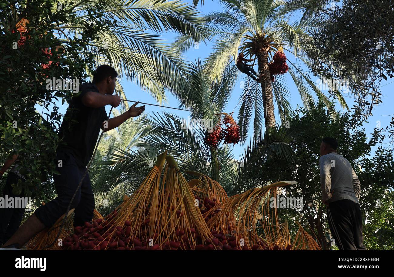 Number 25 fruit hi-res stock photography and images - Alamy