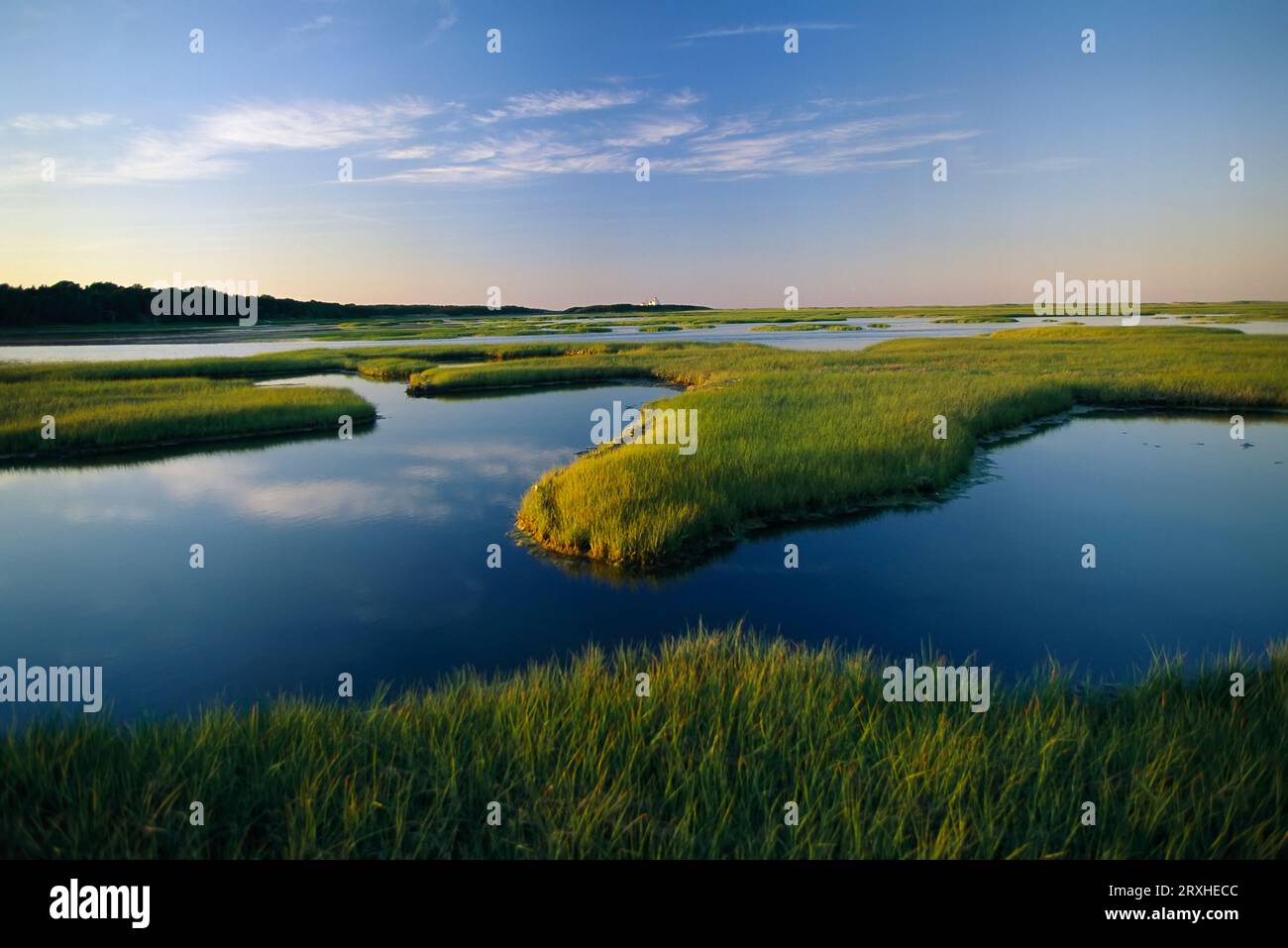 Marsh grass cape cod hi-res stock photography and images - Alamy