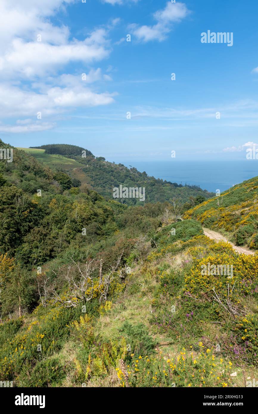Photo of the footpath leading down to Glenthorne beach in Exmoor ...