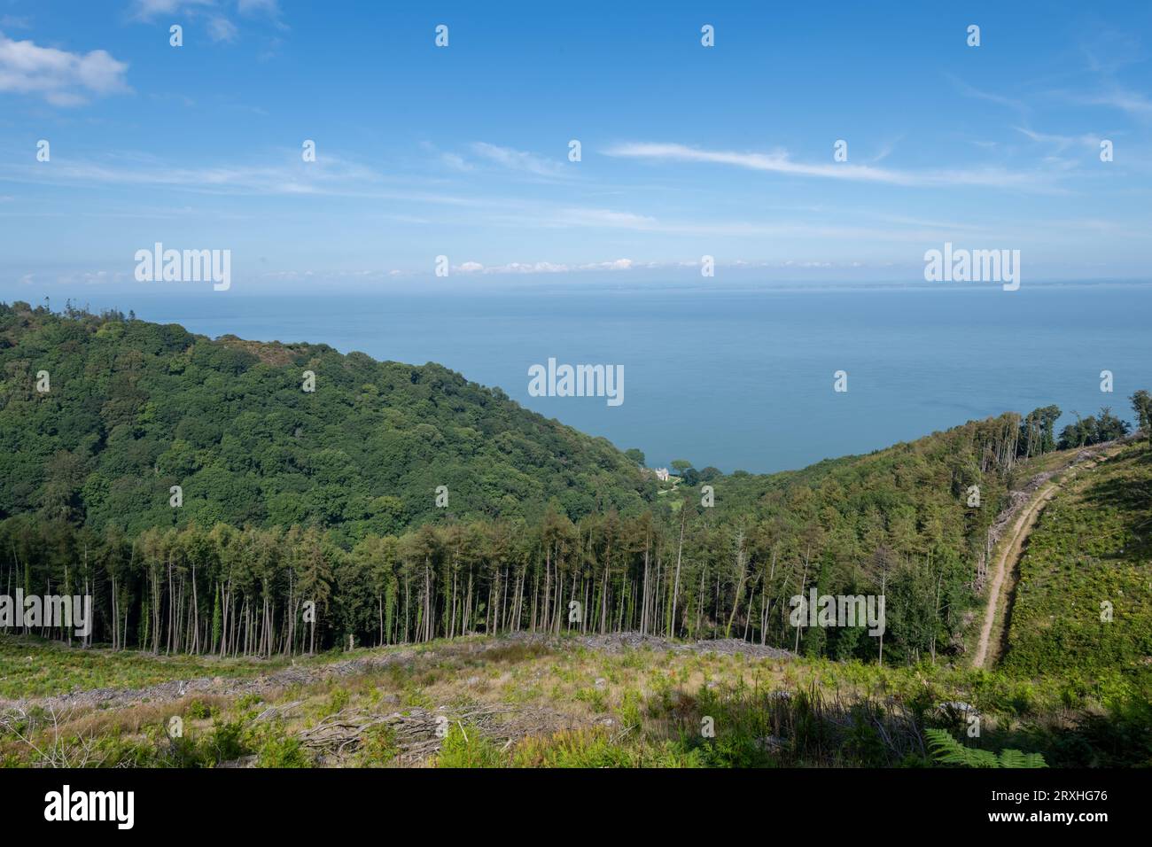 Photo of the footpath leading down to Glenthorne beach in Exmoor ...