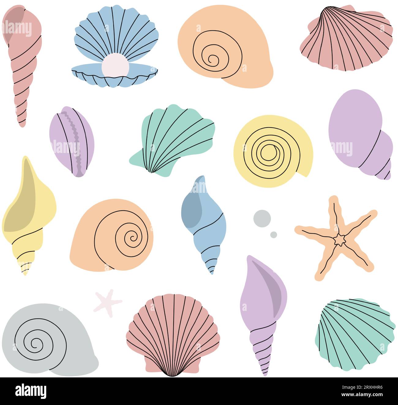 Scallop sea shells. Tropical underwater shells. Freshwater algae ...